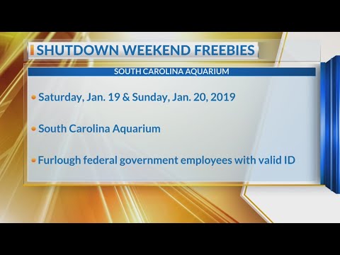SC Aquarium offers free admission for federal workers