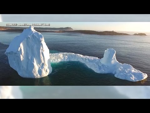 Iceberg in Newfoundland draws hundreds of tourists