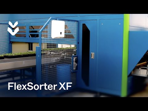 FlexSorter XF - Ultra high-speed grading line