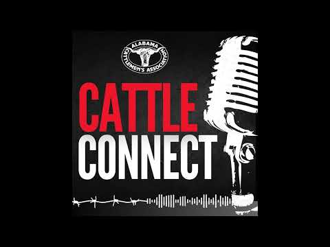 Cattle Connect S1 E27 | Livestock Judging 101 ft AU Collegiate Livestock Judging Coach Jesse Henson