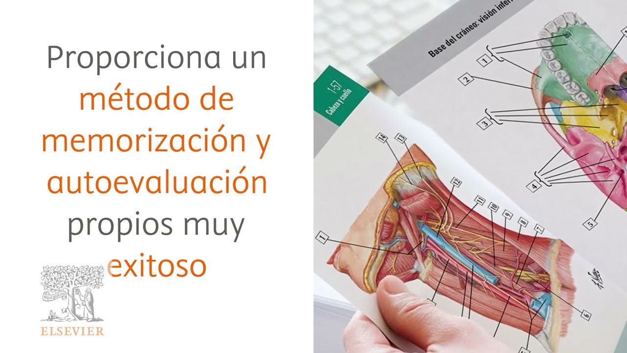 'Netter. Flashcards de anatomía', una valiosa y exitosa herramienta de aprendizaje