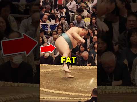 Sumo wrestlers are not fat 🤯🇯🇵 #japan #shorts