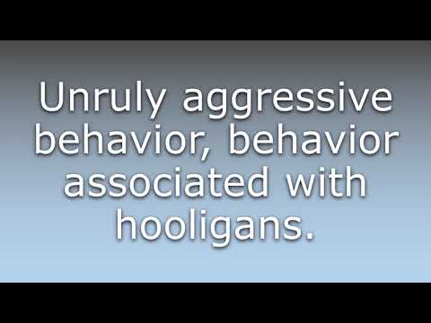 What does Hooliganism mean?