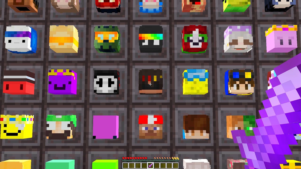 I Collected EVERY Player's Head