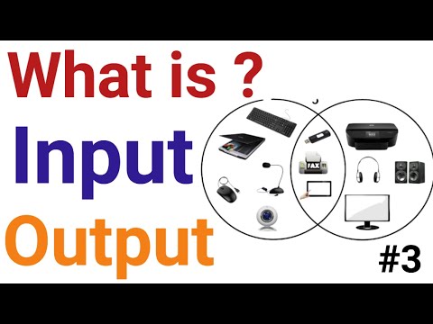 Understanding What are the Input and Output Devices in Computers with Examples