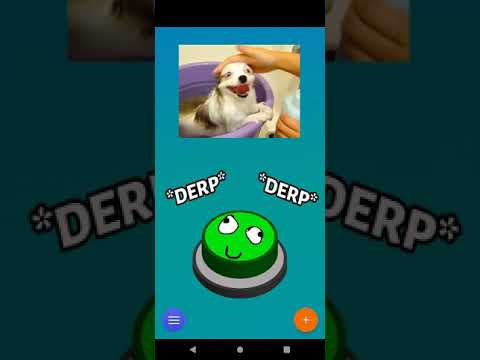 Derp | Joke meme sound Button - Android