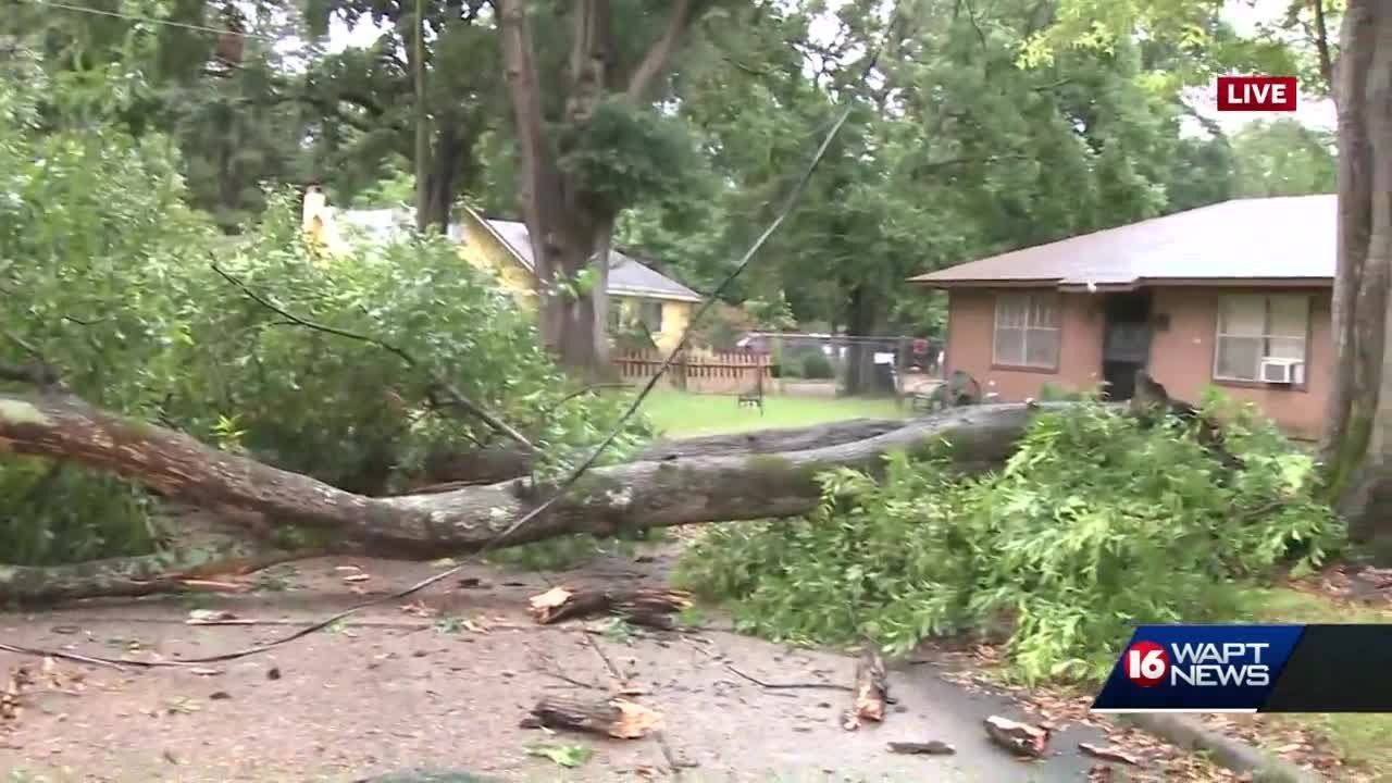 Mississippi storms knock down trees, leave thousands without power
