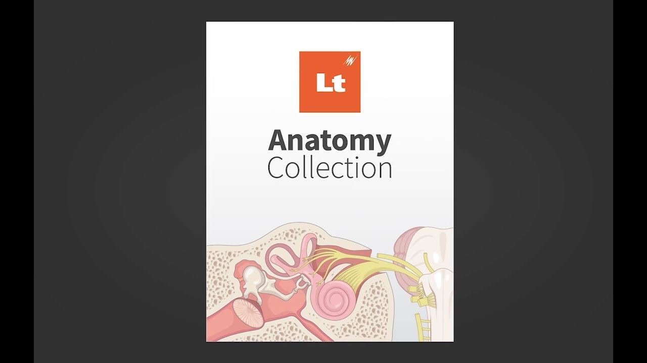 Lt - Online Learning Platform | Anatomy Collection