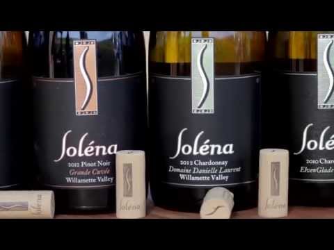 Spec's Wine, Spirits and Fine Foods - Challenges in Wine Retail