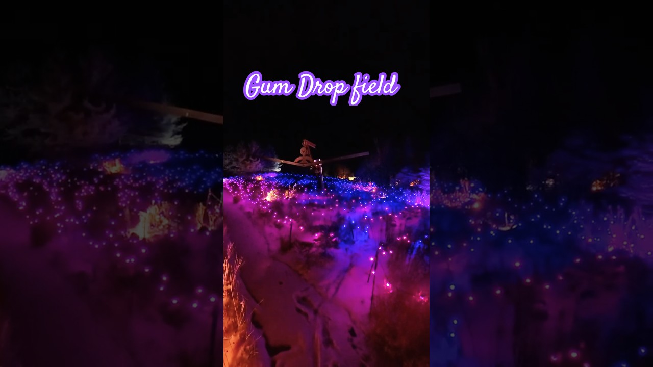 A Field of Gumdrop Lights? Magical Holiday Glow in Grand Rapids! ✨🍭