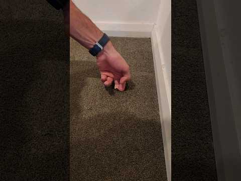 A day in the life of a carpet repairer. #carpetrepair #carpet #business #youtubeshorts #viral