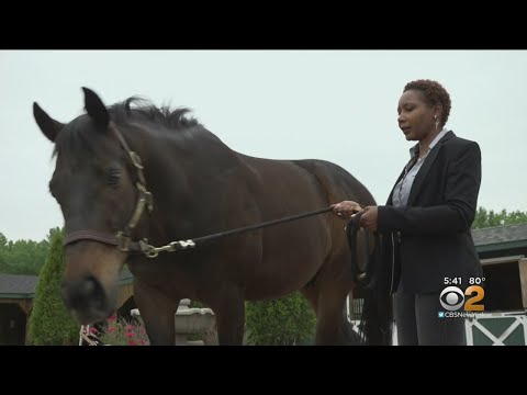Equine Therapy Used To Help Veterans