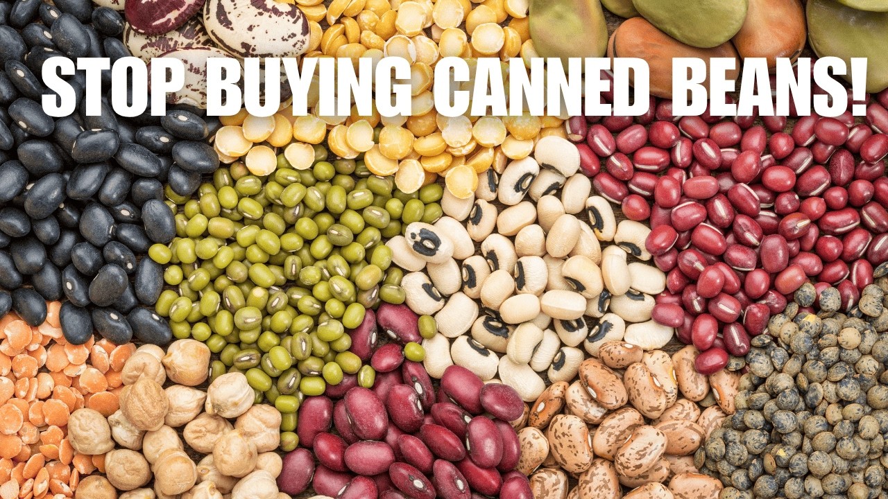 Instant Pot Beans 101 - Black Beans, Chickpeas & Black Eyed Peas (WFPB, No Soaking!)