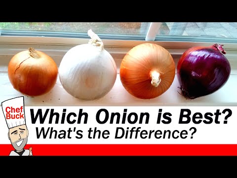Onions - What is the Best Onion to Use?