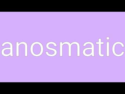 Anosmatic Definition & Meaning
