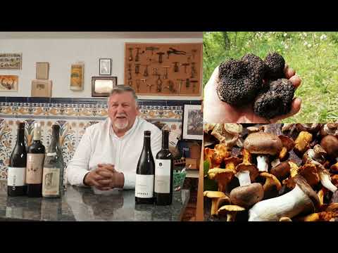 181 - Barbaresco frente a Barolo. Conoce estos grandes vinos.