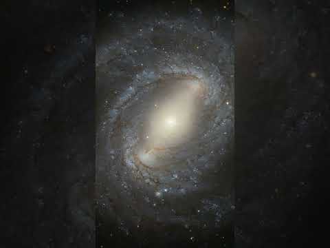 NGC 4394 || The Archetypal Barred Spiral Galaxy, With Spiral Arms Emerging From The Ends || #shorts