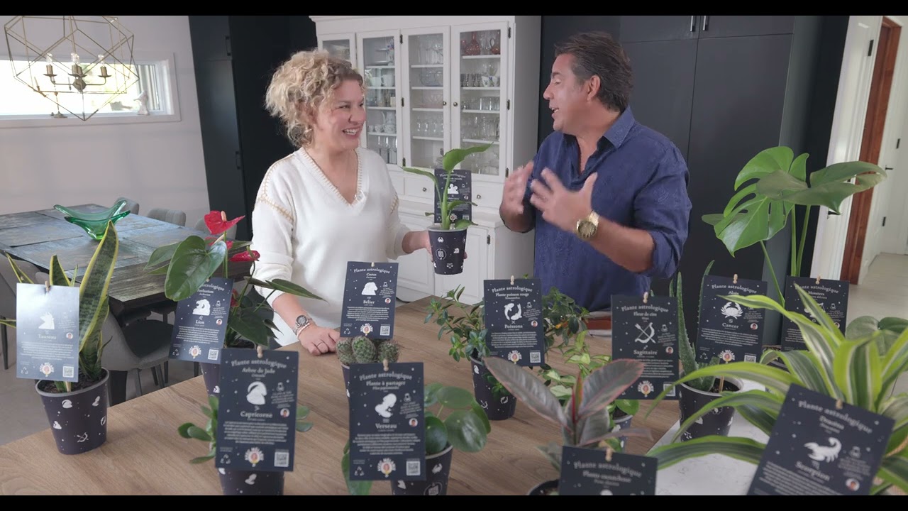 Avec Mélanie : Les plantes astrologiques