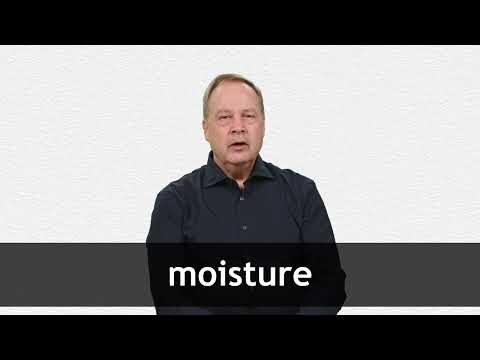 MOISTURE - Definition & Translations | Collins English Dictionary
