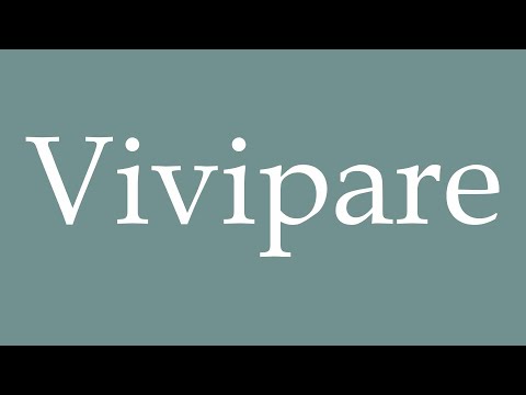 How to Pronounce ''Vivipare'' (Viviparous) Correctly in French