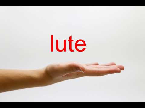 How to Pronounce lute - American English
