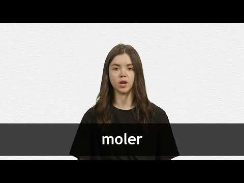 English Translation of “MOLER” | Collins Spanish-English Dictionary