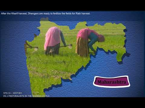 PASTORALISTS IN THE MODERN WORLD 1