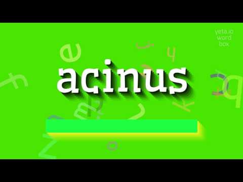 How to say "acinus"! (High Quality Voices)