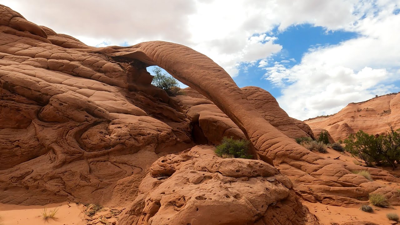 Cobra Arch | Paria Canyon-Vermilion Cliffs Wilderness