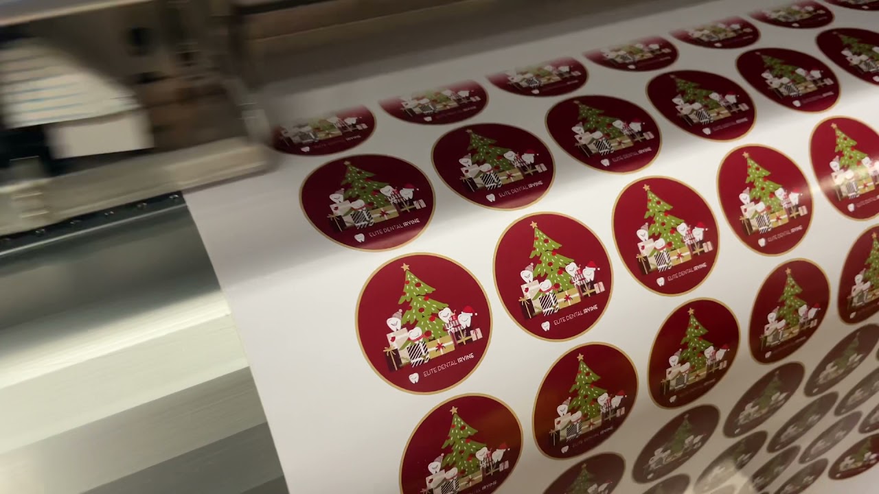 Jetbest Eco Solvent Ink for Roland VS-300i