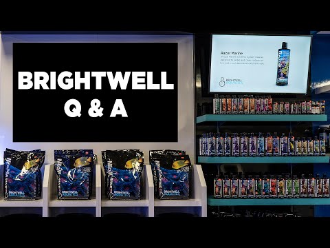 Brightwell Aquatics Q & A - World Wide Corals