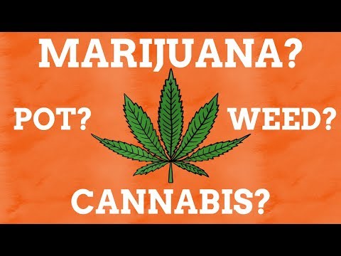 Why Does Marijuana Have So Many Names?