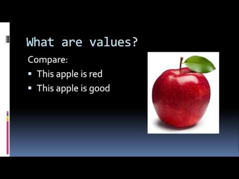 HPS200 2. What are values?