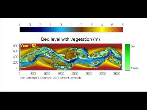 Numerical model of a meandering river with vegetation - year 256