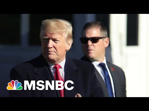 Trump’s Secret Service In Question | Zerlina.