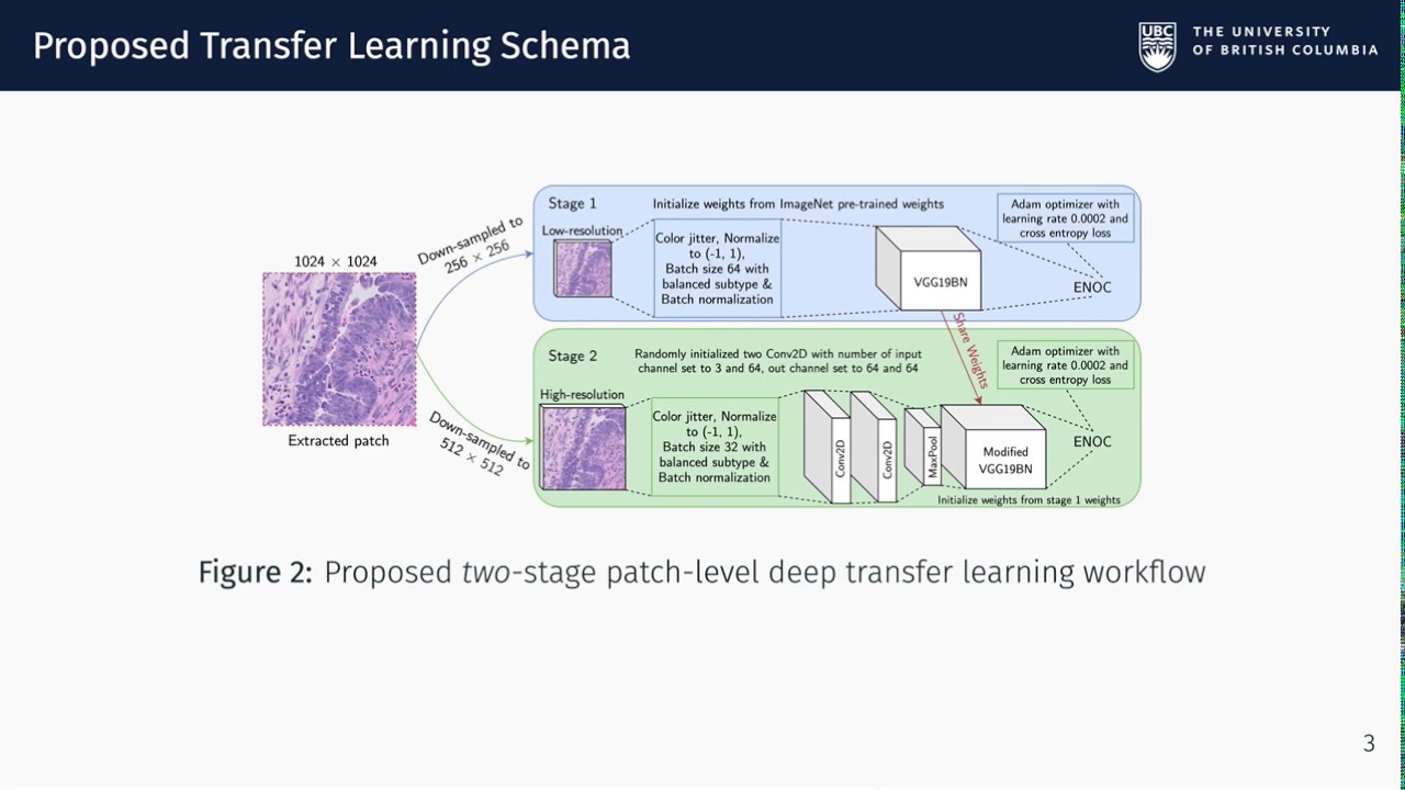 MIDL 2020, S104, Wang et al. Short presentation