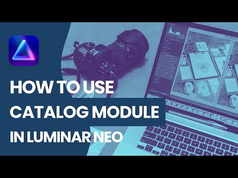 Luminar NEO: How to use the Catalog Module