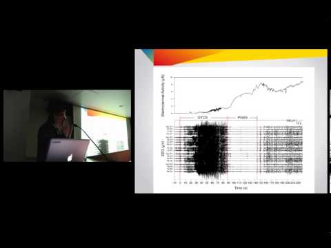 Rosalind Picard - What Does Skin Conductance Tell Us About Brain Activity?