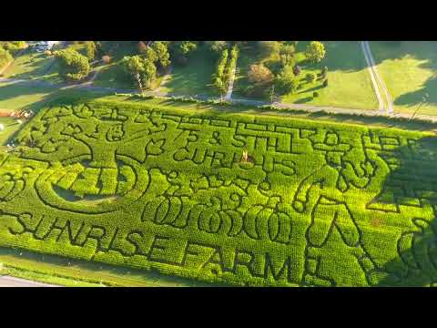 The 9 Best Corn Mazes In Maryland To Visit This Fall