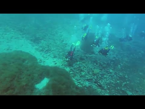 Dive into the world's largest spring-fed pool | Basin Buzz
