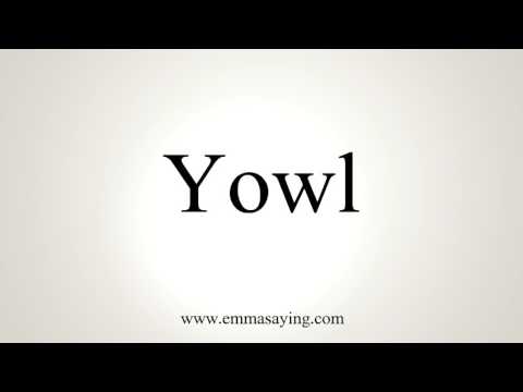 How To Pronounce Yowl