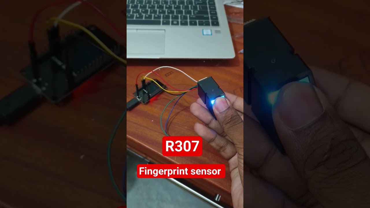 R307 Fingerprint sensor  #fingerprintsensor