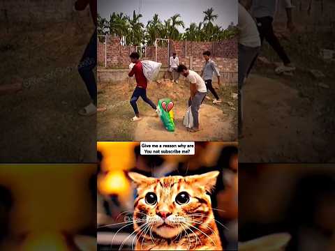 JUNE FOOL 🤣 #cat #meme #funny #dance