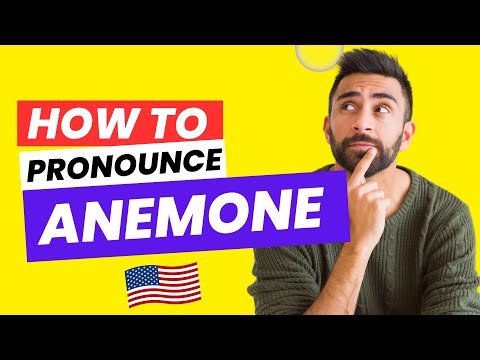 How to Pronounce Anemone (Correctly) in American English