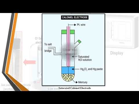 Reference Electrode