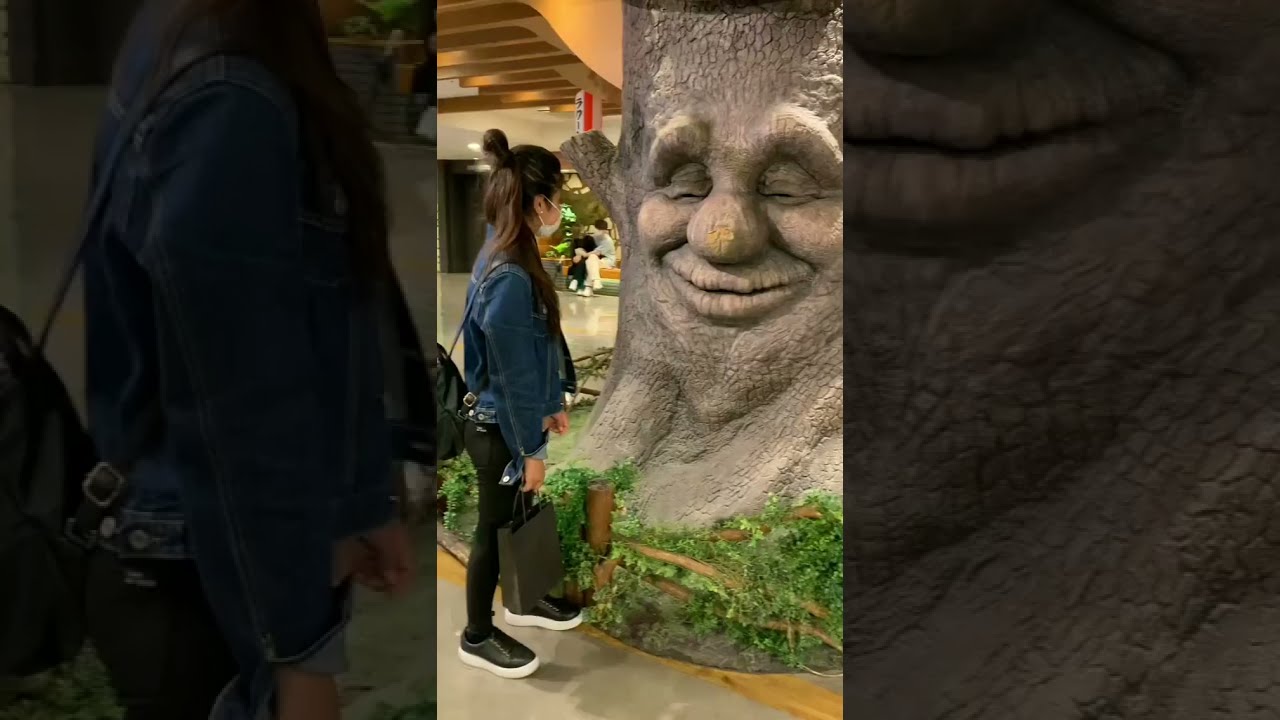 Real Talking Tree        #shorts