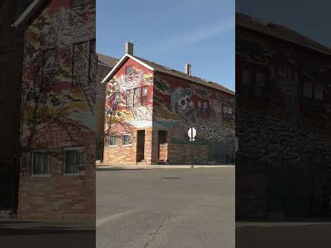 Chicago Neighborhoods Beyond Borders: Episode 7 (Hector Duarte) #painting #pilsen #grafity #art