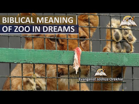 Biblical Meaning of ZOO in Dreams - Dream About Wild Animals
