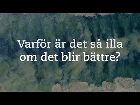 Varför är de syrefria bottnarna så stora?