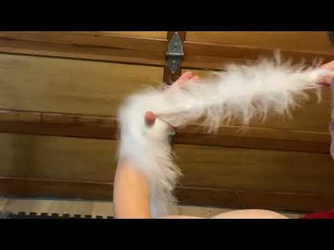 Satisfying feather boa